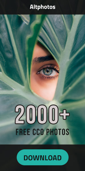 Stitch - Photoshop brushes